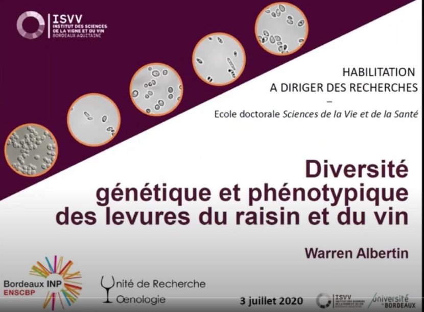 Ecotone oenologie | article-warren albertin-romain traste-oenologue